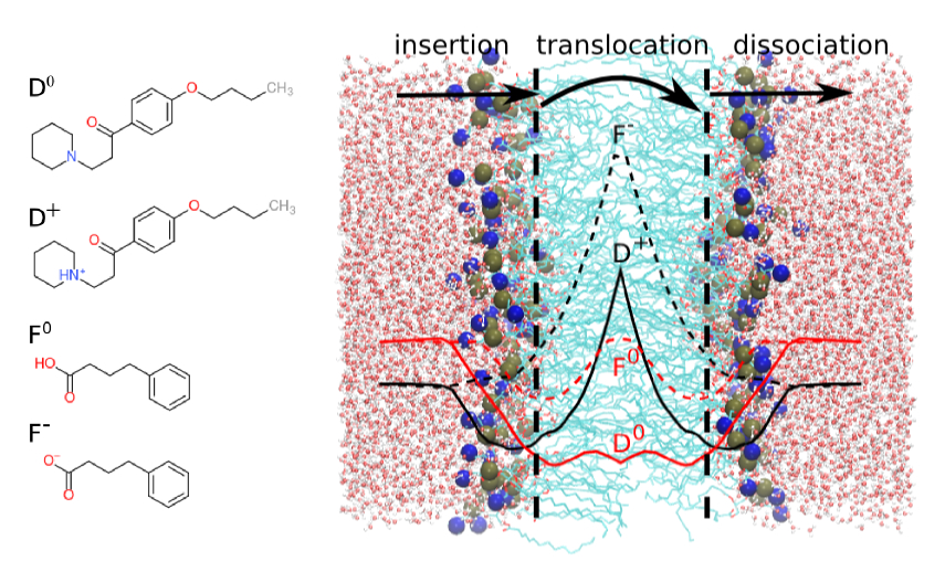 Deniz Sezer » Publications