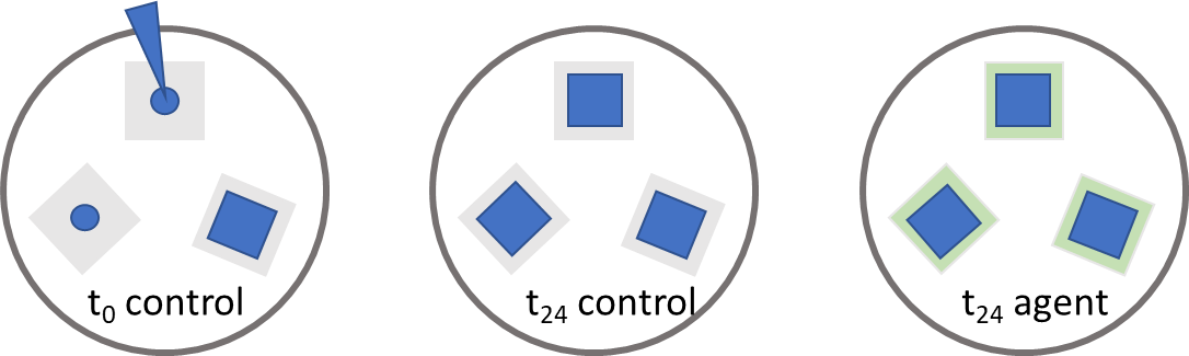 ISO 22196 – Technical Guidance & Operating Procedures in Life Sciences