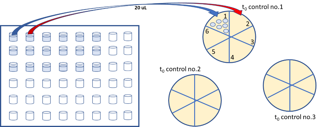 ISO 22196 – Technical Guidance & Operating Procedures in Life Sciences